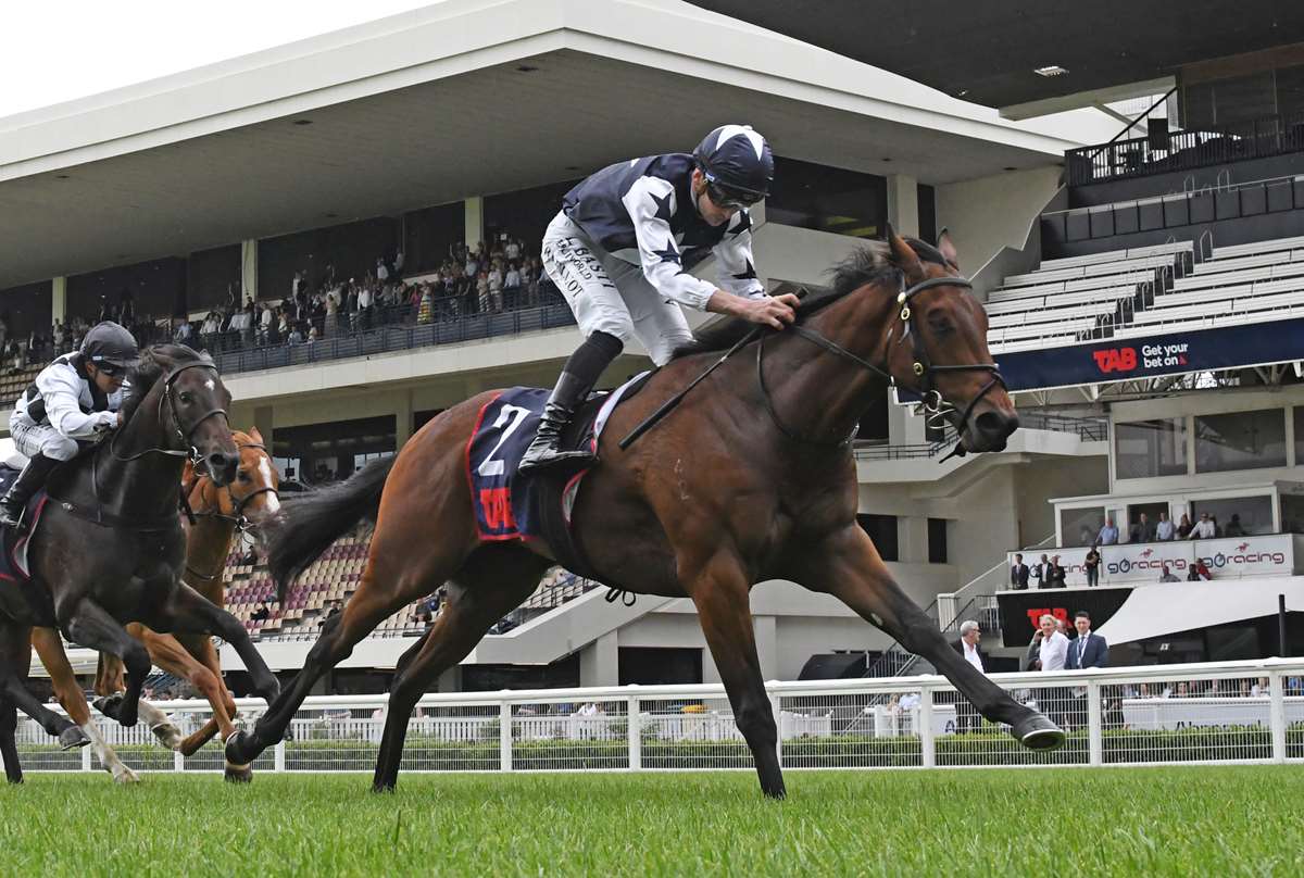 Wynyard chasing Champagne moment at Ellerslie