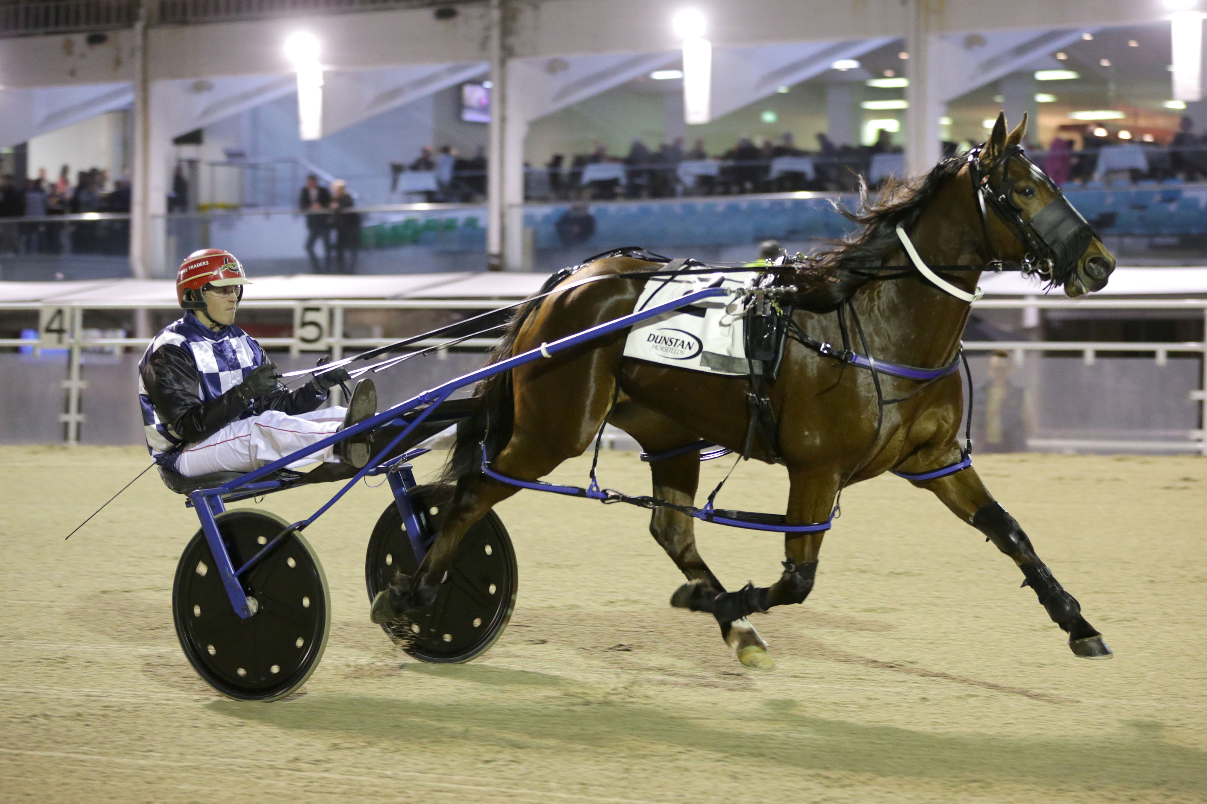 Butcher injury overshadows exciting Alexandra Park racing