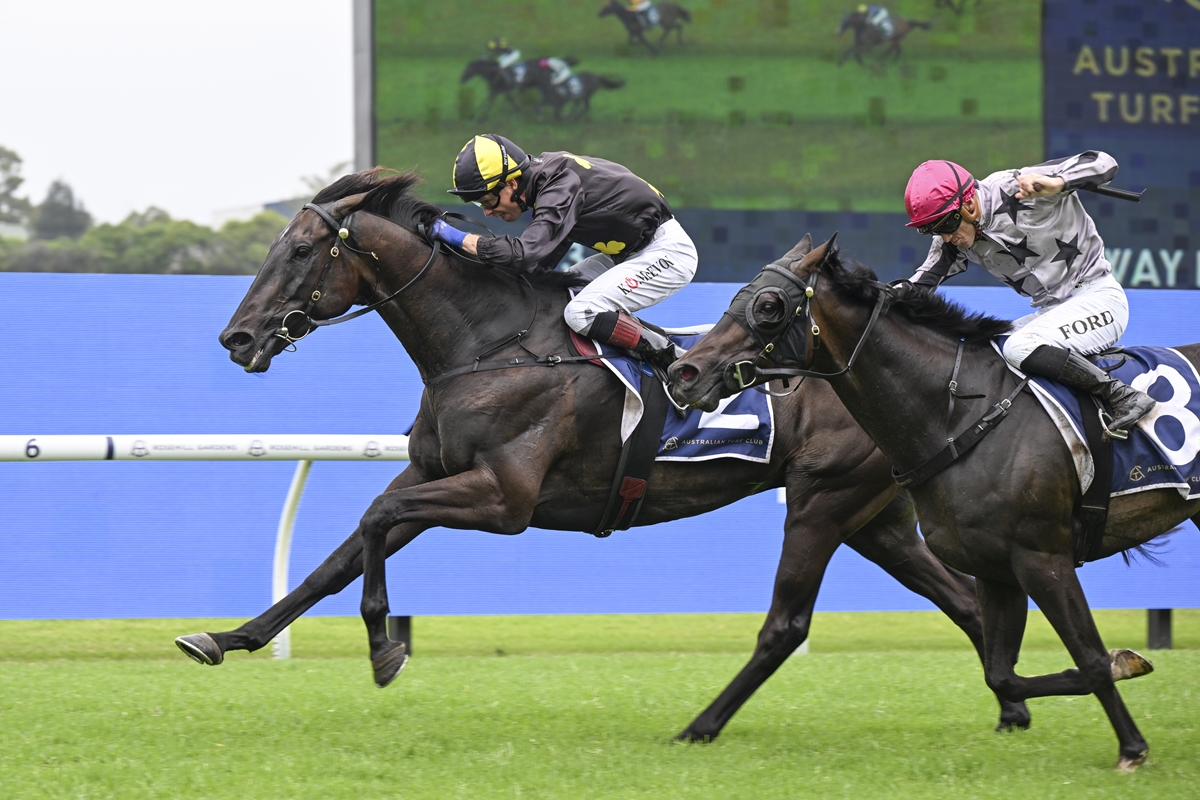 Casual Connection back in winning form