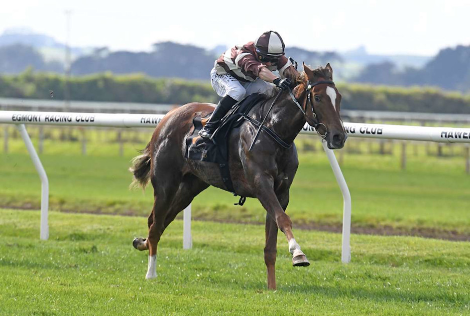 Gavelhouse the gift that keeps on giving for Sharrock