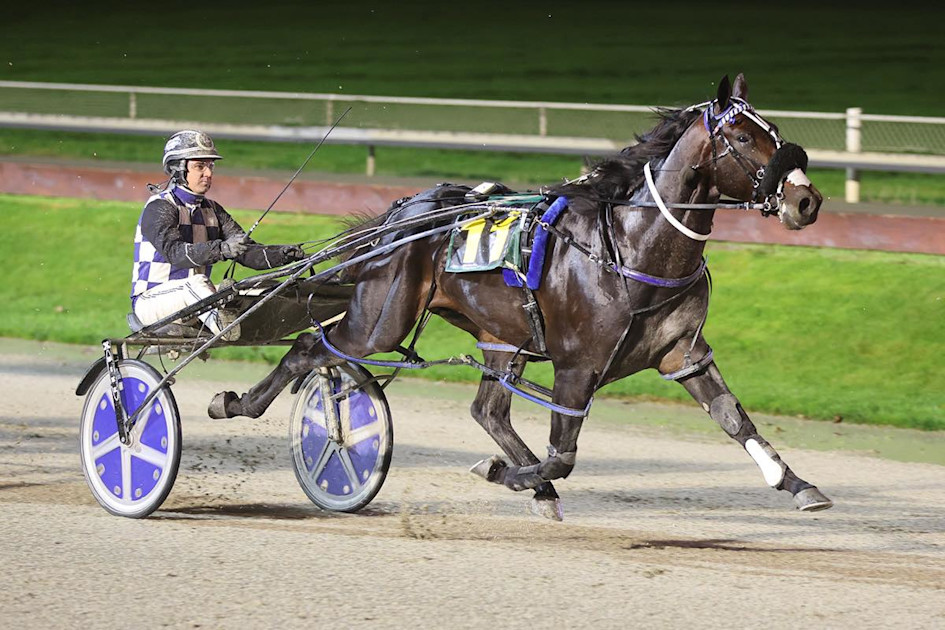 A better Bettor’s Anvil set for Friday night resumption