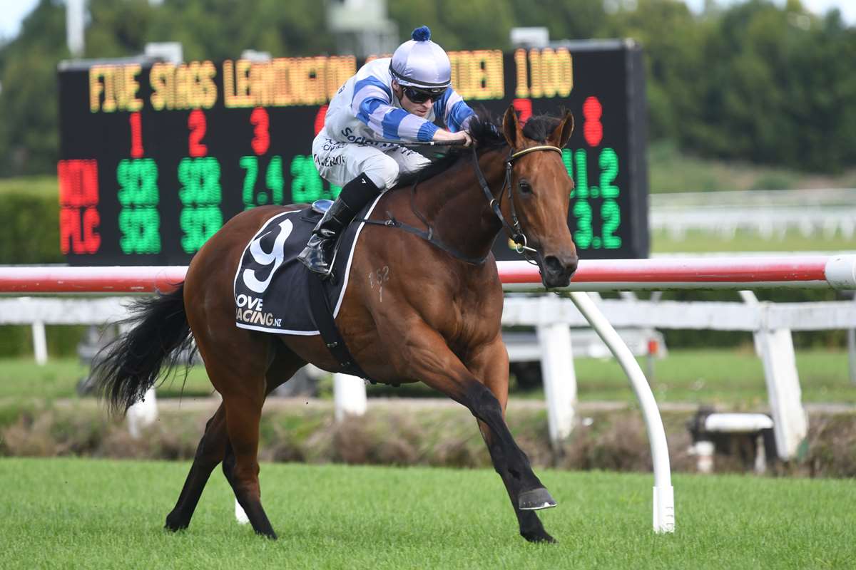 Cole finds ideal black-type option for filly