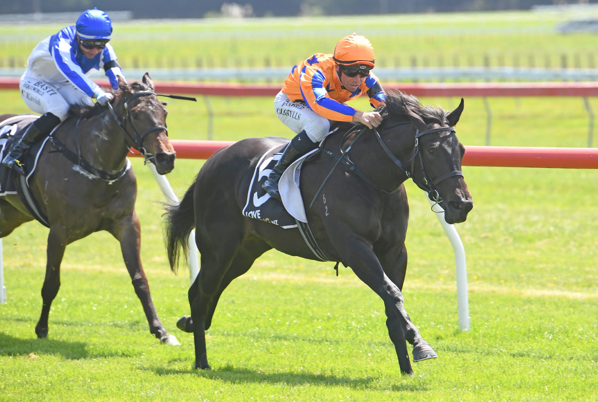 Talented two-year-old delivers special win for Te Akau