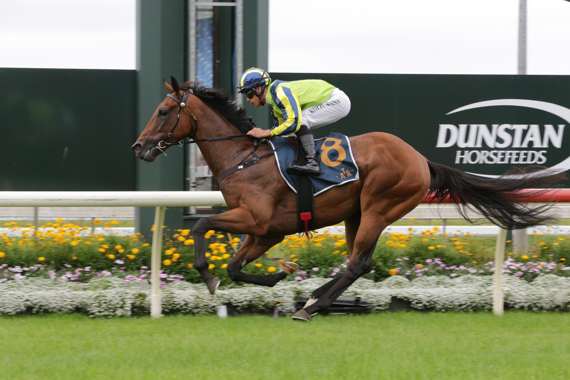 Forsman team set for Te Rapa Sunday
