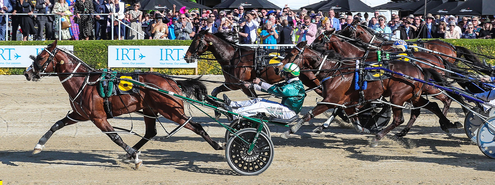 Dual NZ Cup winner Copy That officially retired