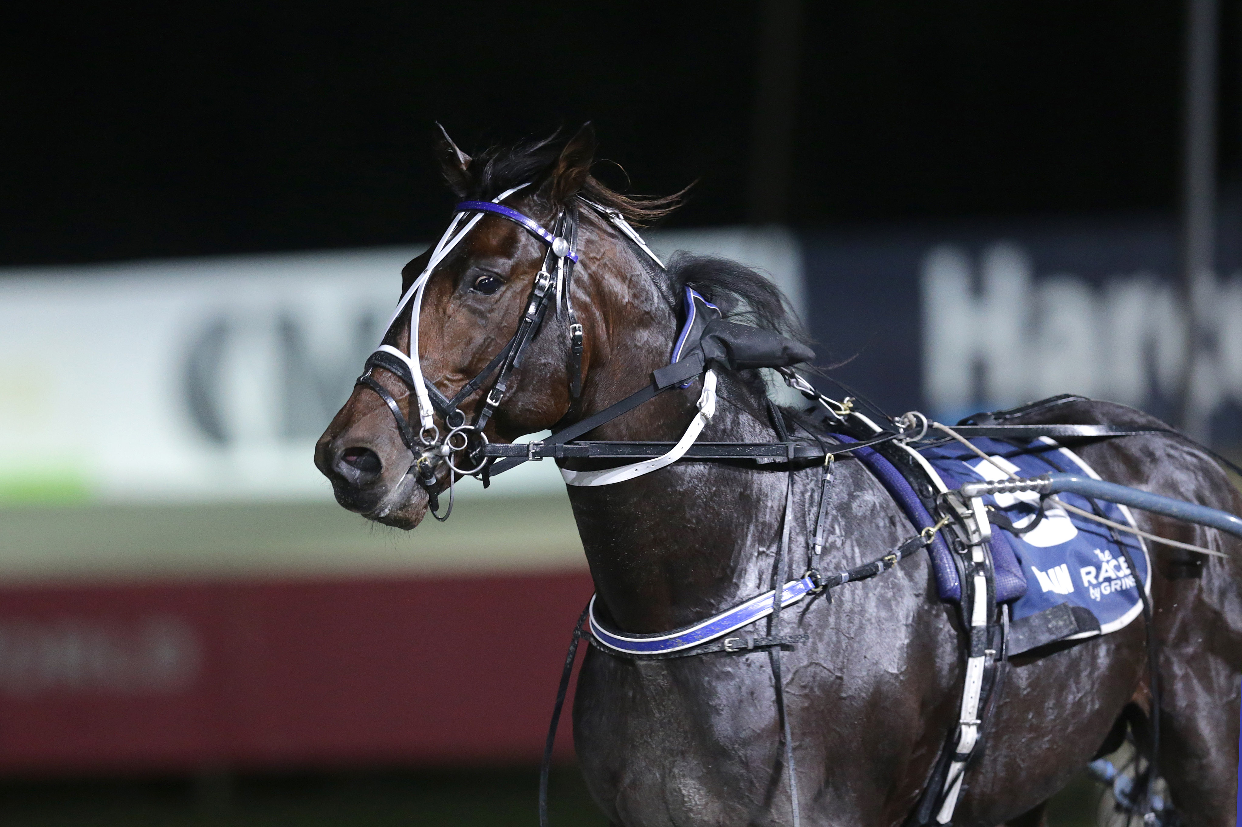 Scott Phelan Prepares for Challenge in $40,000 Spring Cup