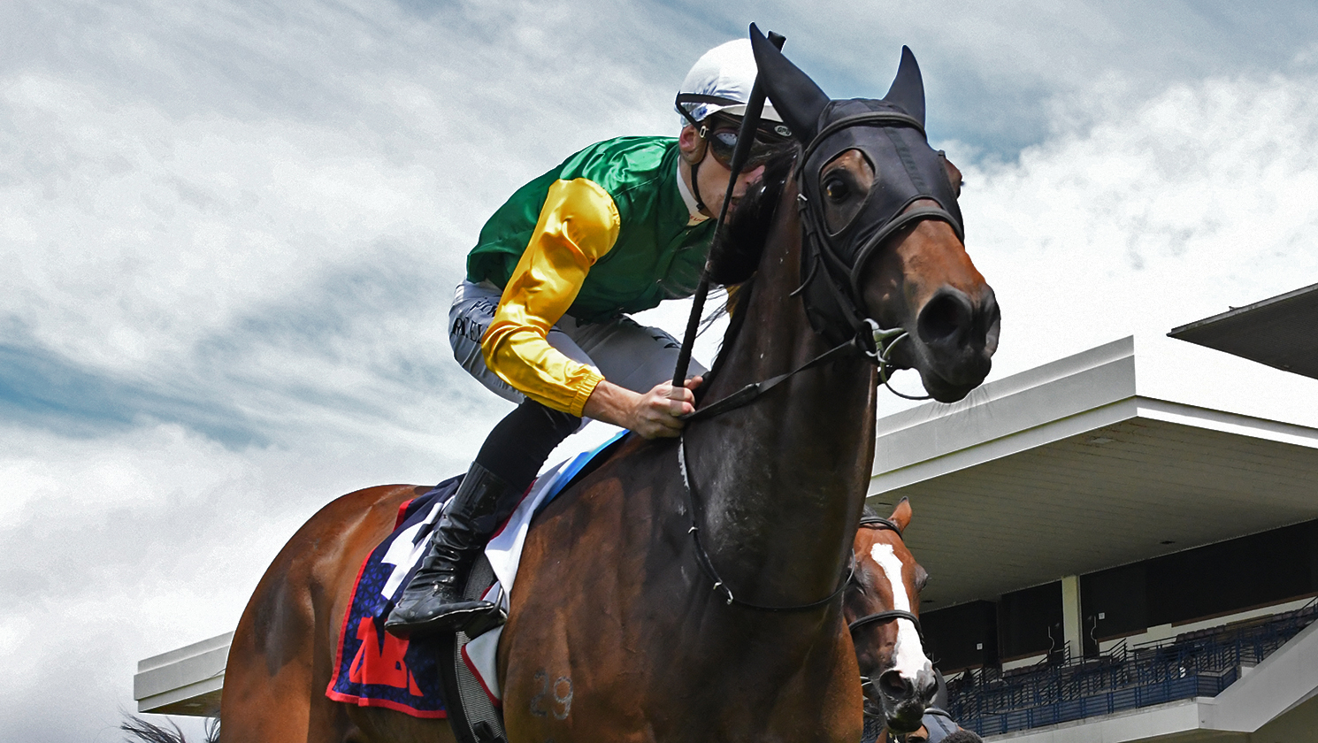 Kingsclere gallopers continuing family legacy