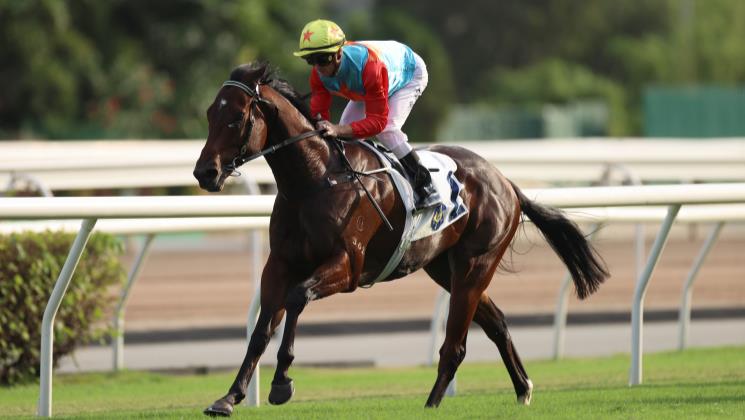 Kiwi-bred sprinters sit atop of the world