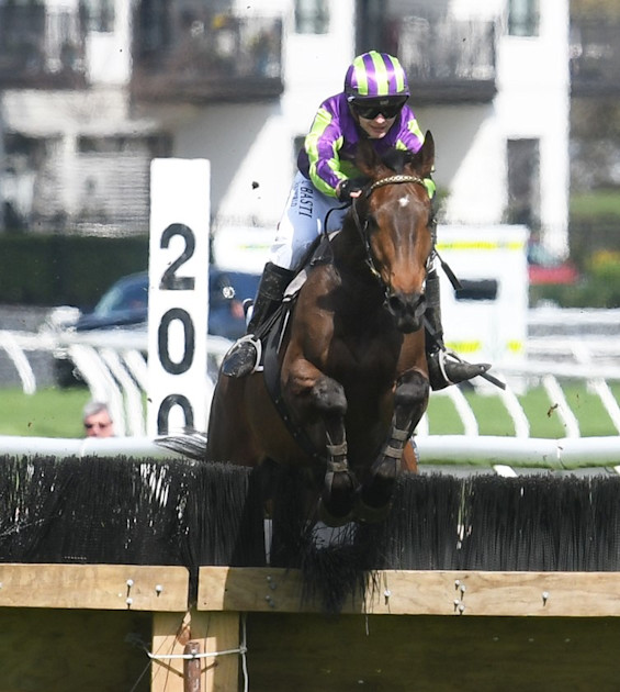 Rayner returns to Te Rapa with Great Northern hero