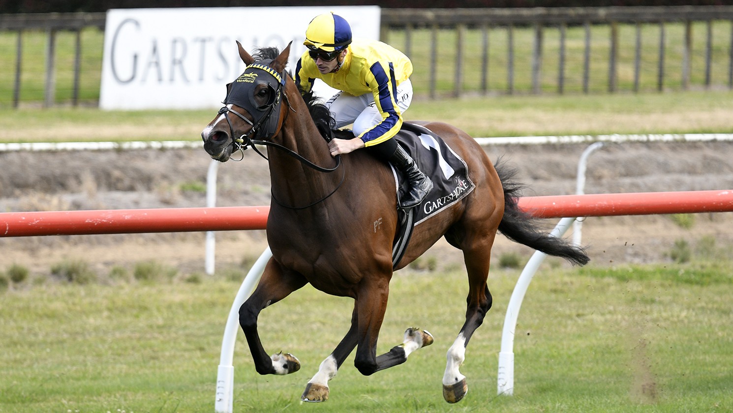 Stephen Hunt runs the numbers on the weekends racing