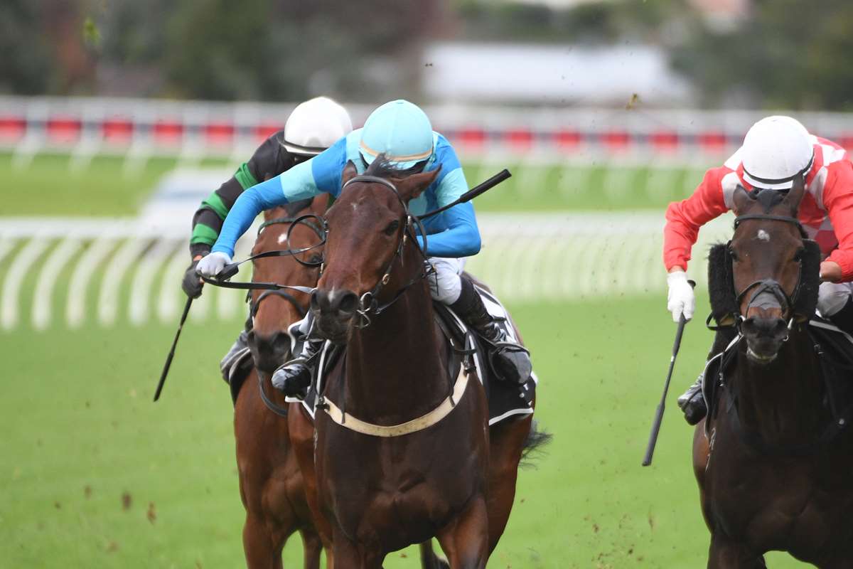 Top mare’s star still shining brightly