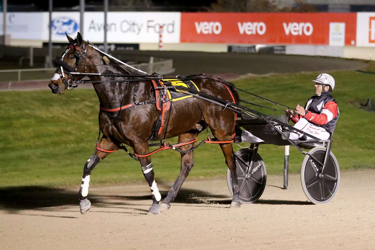 Harness Hub with Matt Cross: Spring time in the Garden City