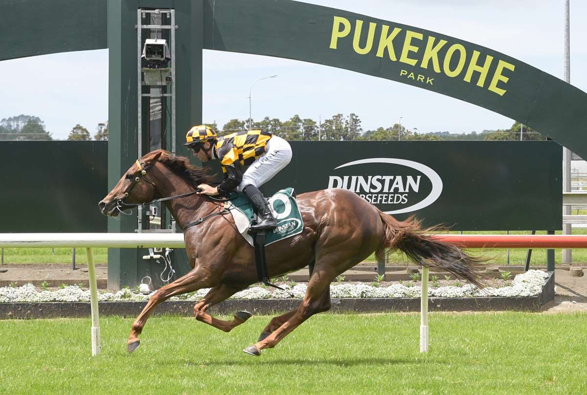 Future Cup contender trials well at Cambridge