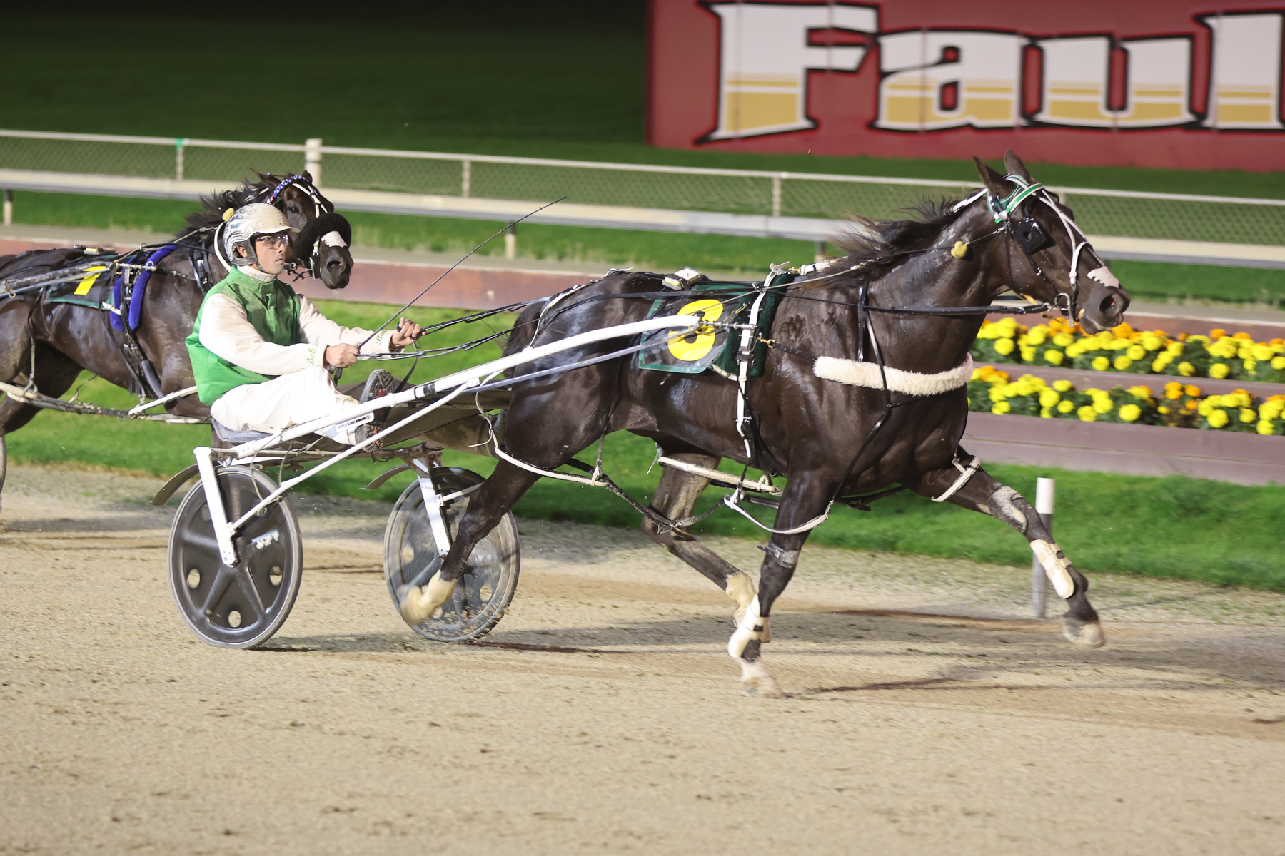 Bob loves Bruce and he’s no sideshow