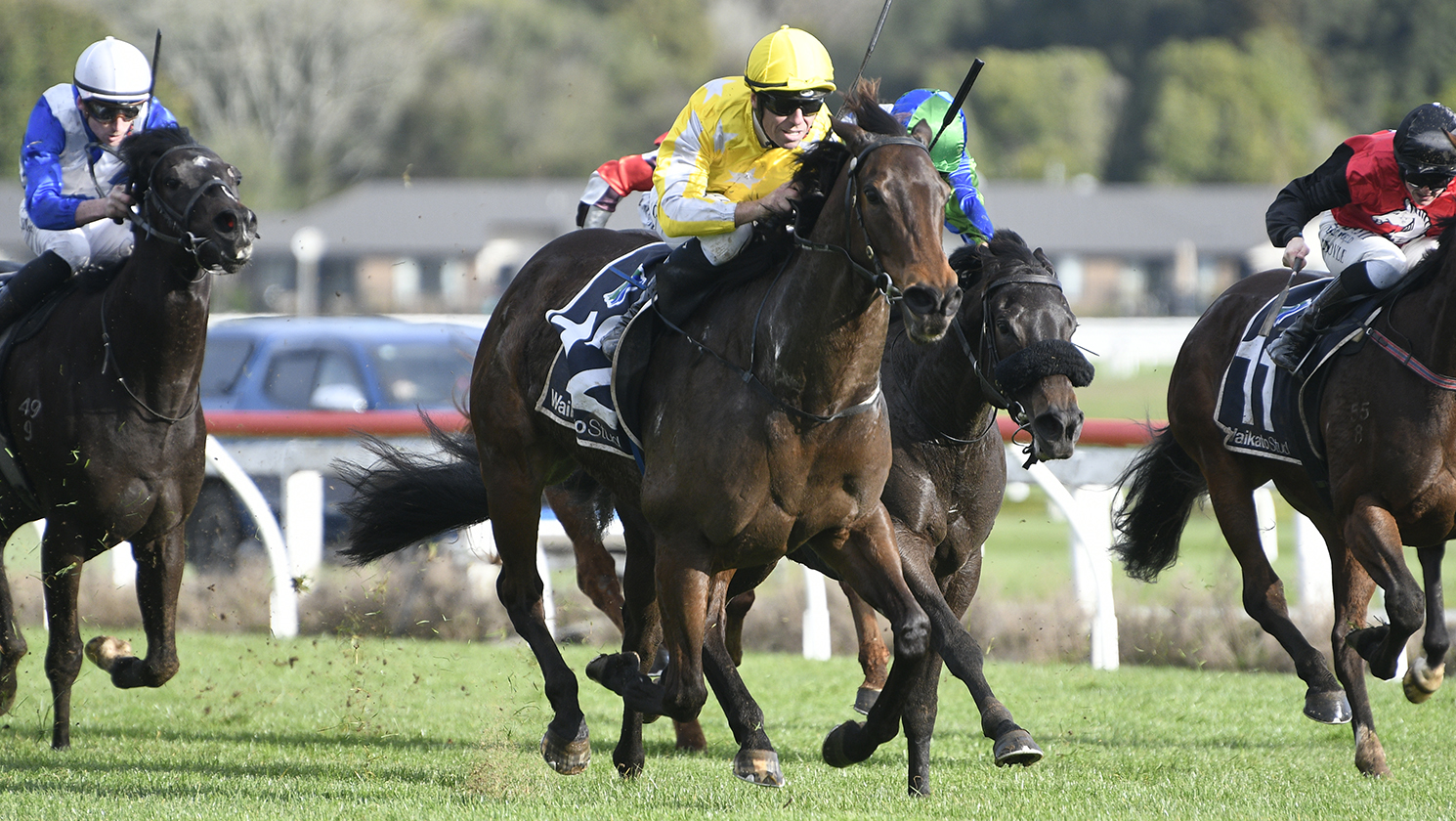 Bonny Lass makes brilliant return in Foxbridge