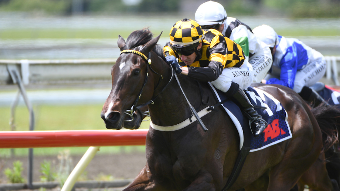 Progressive Mollify loving life in New Zealand