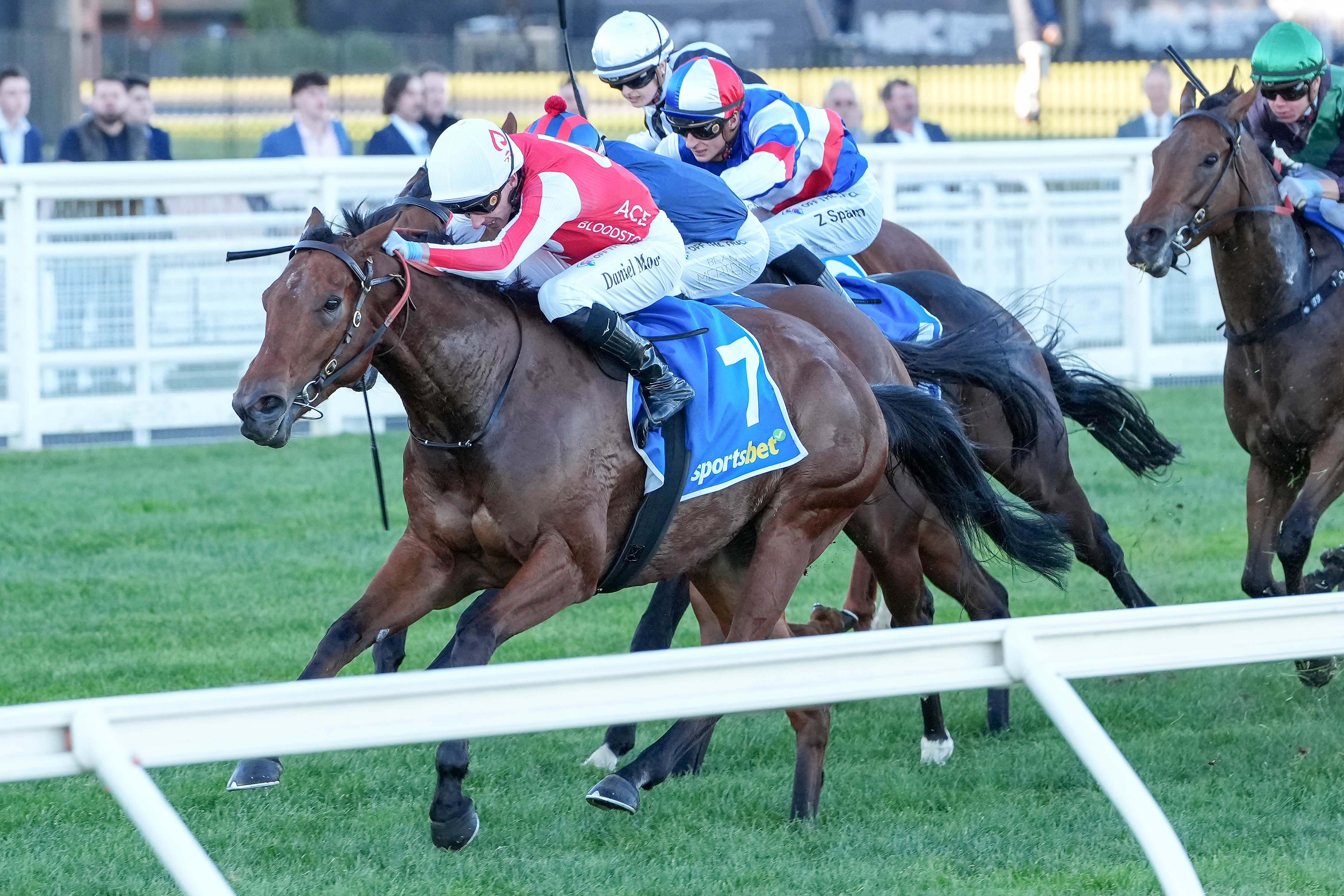 Moir Stakes for Niance