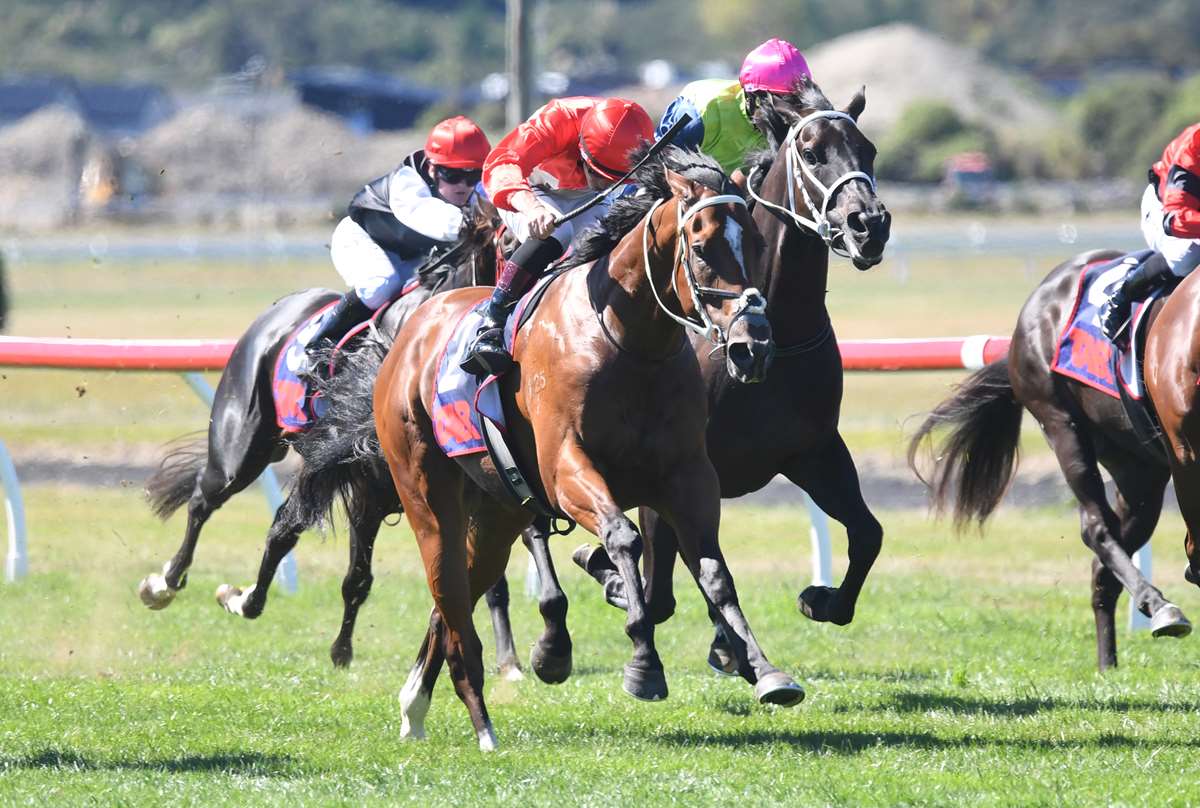 Smart 3YO in super form ahead of Melbourne challenge