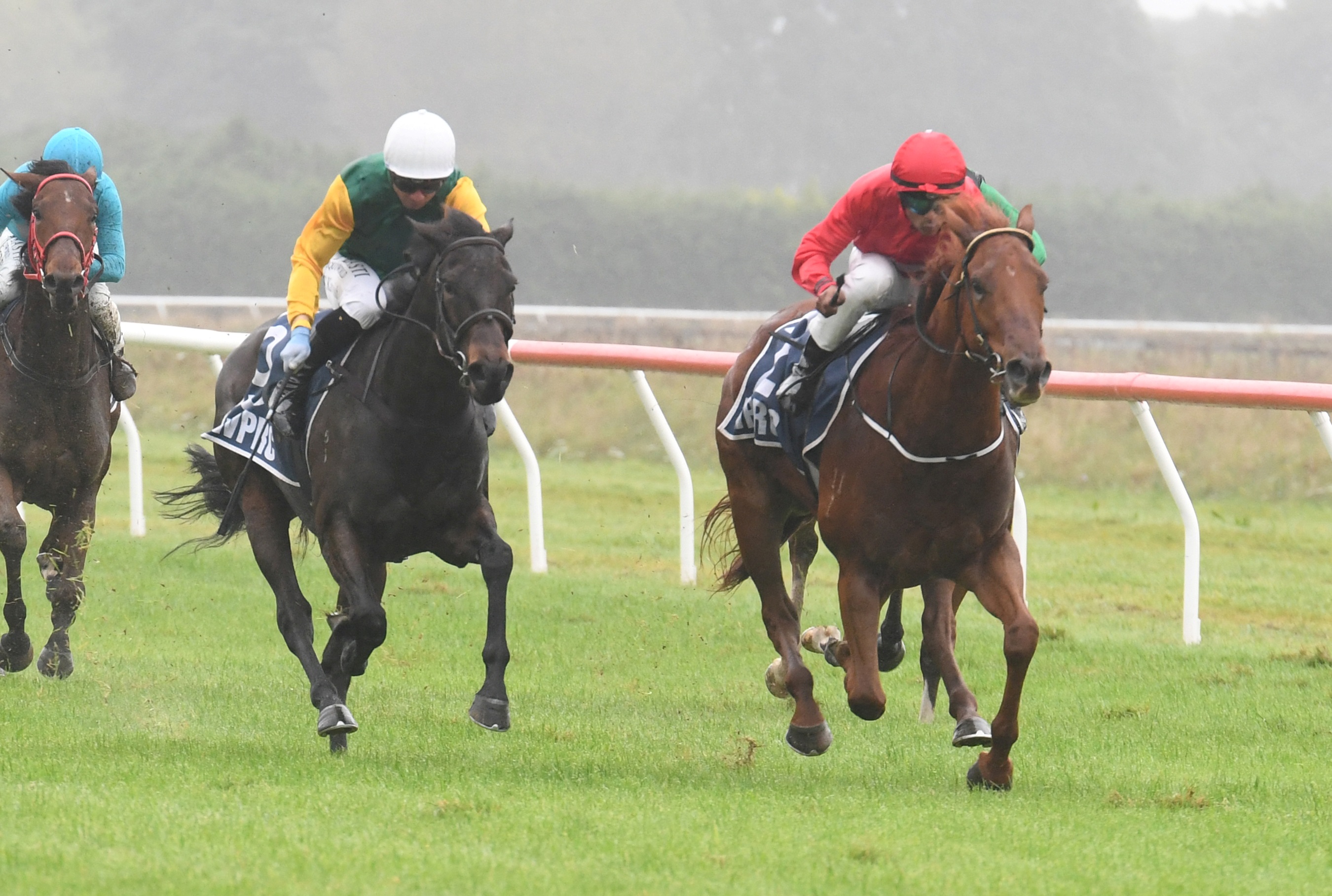 Cole continues CD raid