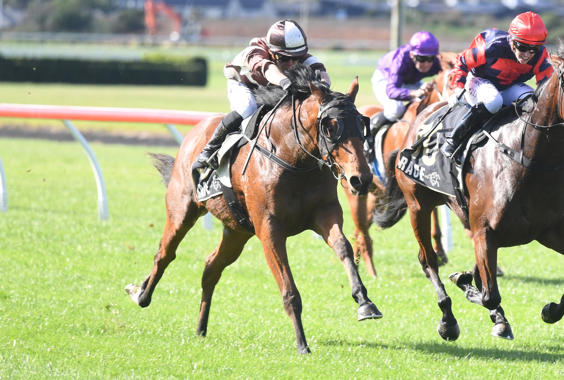 Country Salon too smart at Trentham