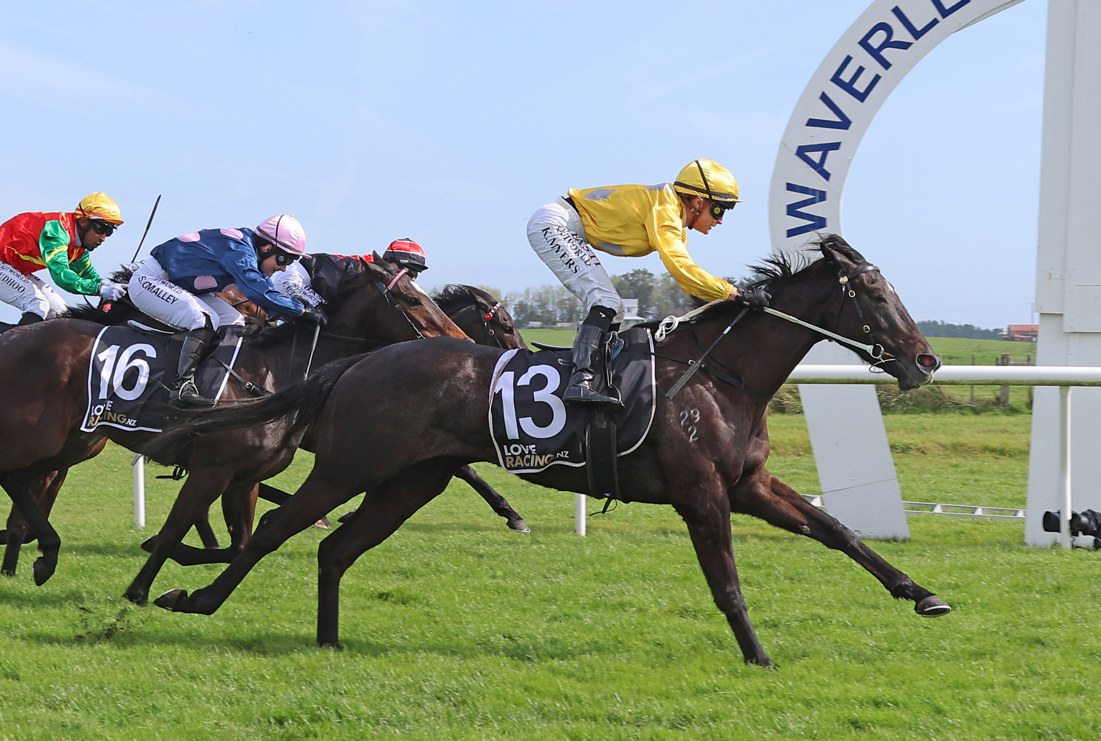 Shameless Star tops milestone week for Didhams