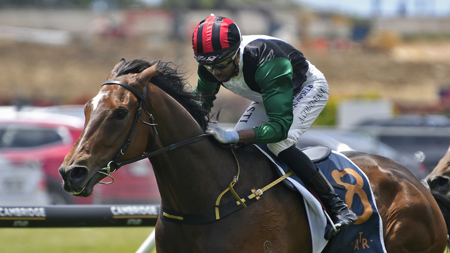 Sun shines in Ellerslie opener