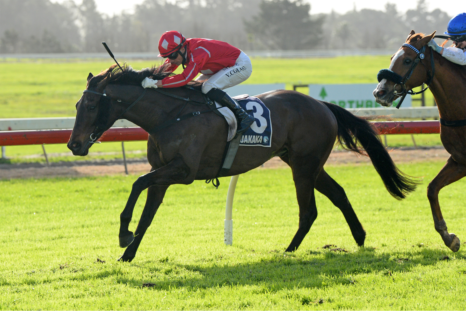 Bosch lands fifth Ruakaka win
