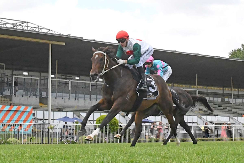 Barneswood Brady Nakhle Hoping for NZB Kiwi Golden Ticket