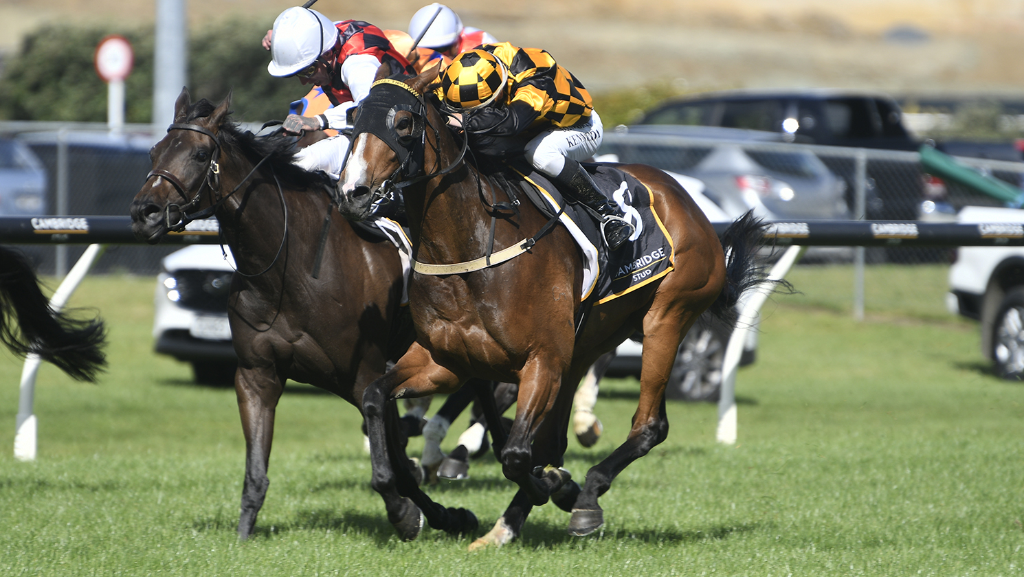 Snazzytavi leads Cambridge Stud’s Boxing Day racing triumph