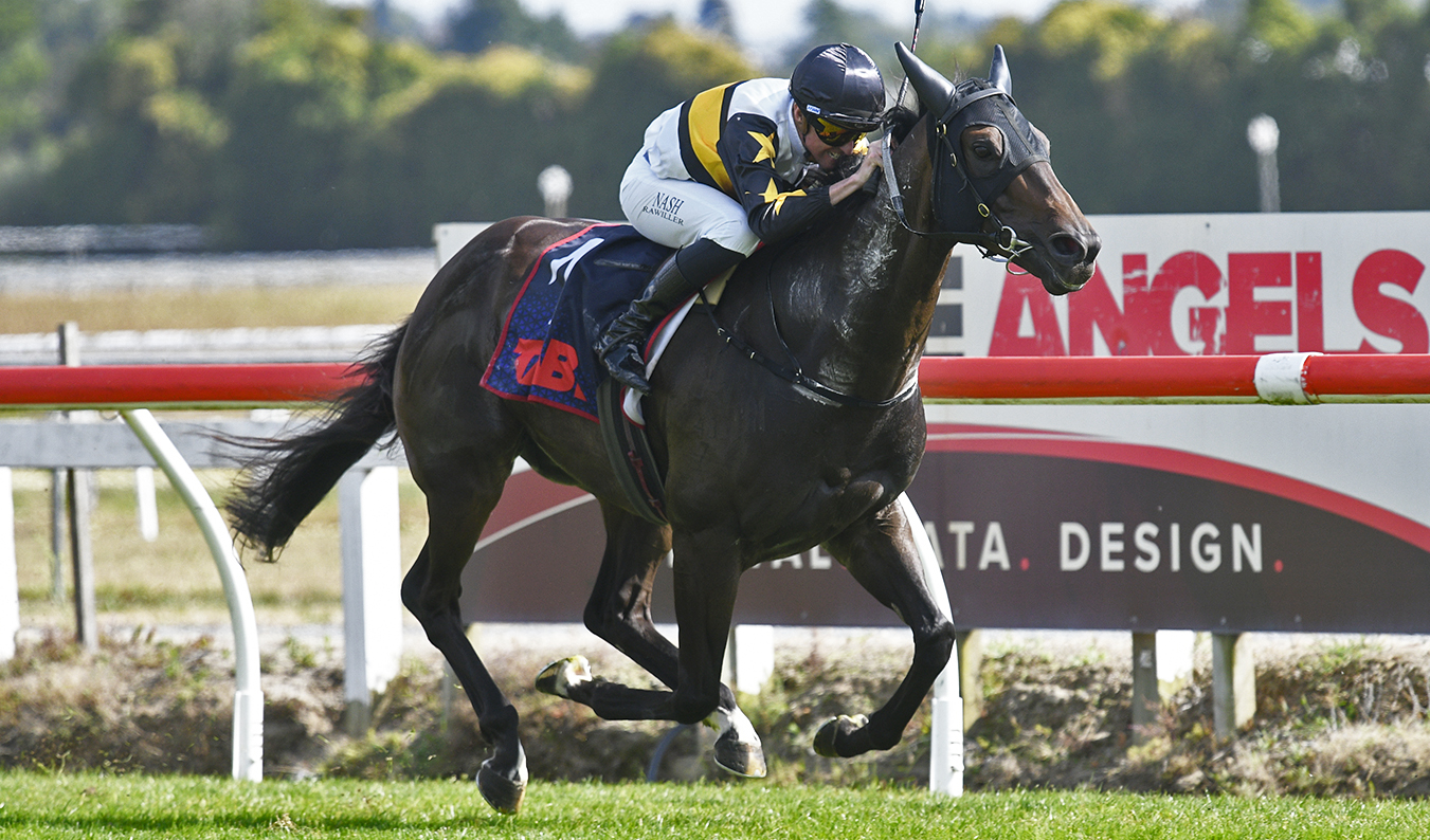 Running The Numbers on Saturday racing from Te Rapa