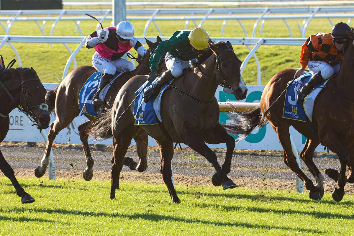 Taupō to open a “Mega” weekend.