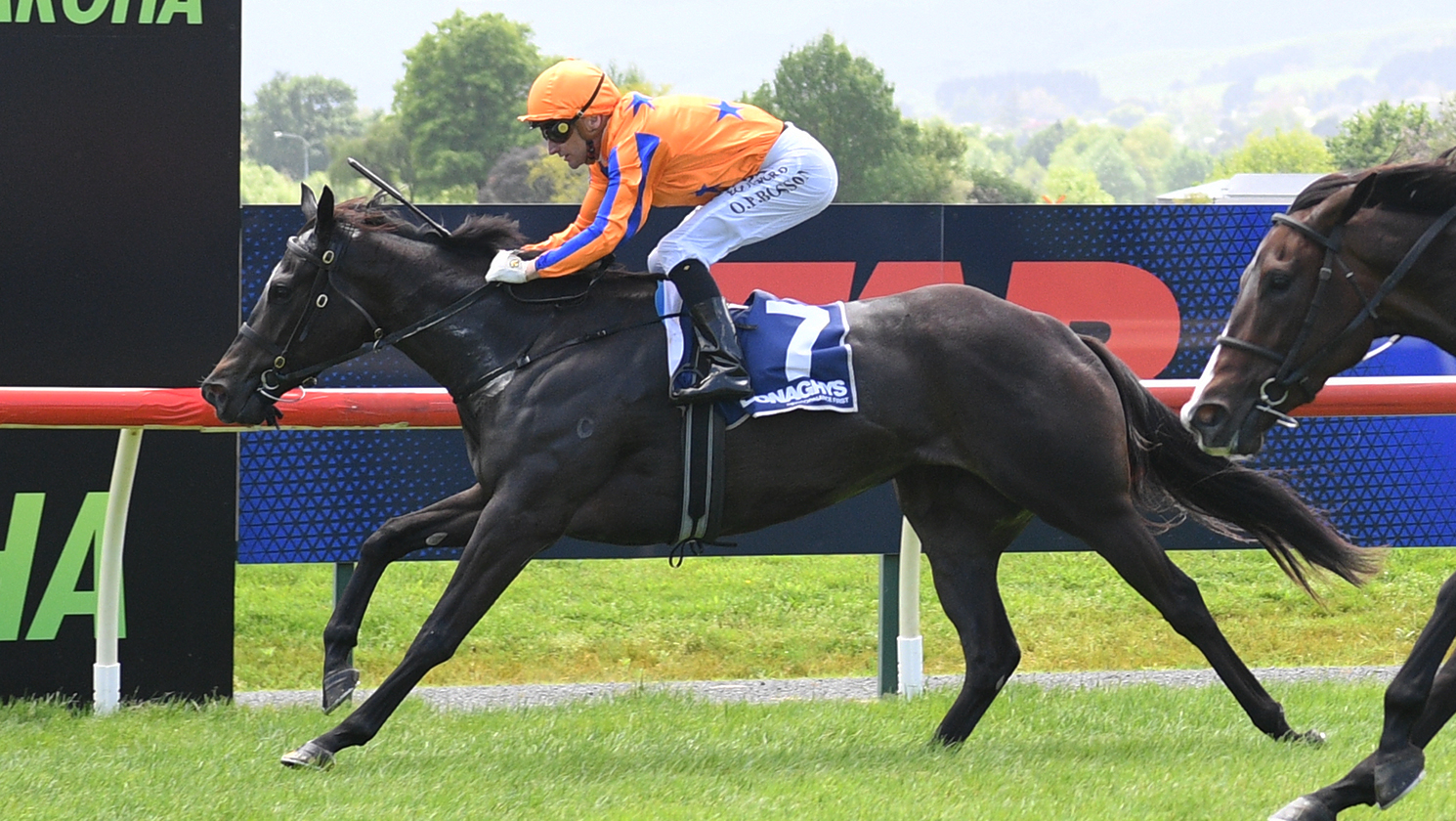 Full-circle moment for Te Akau