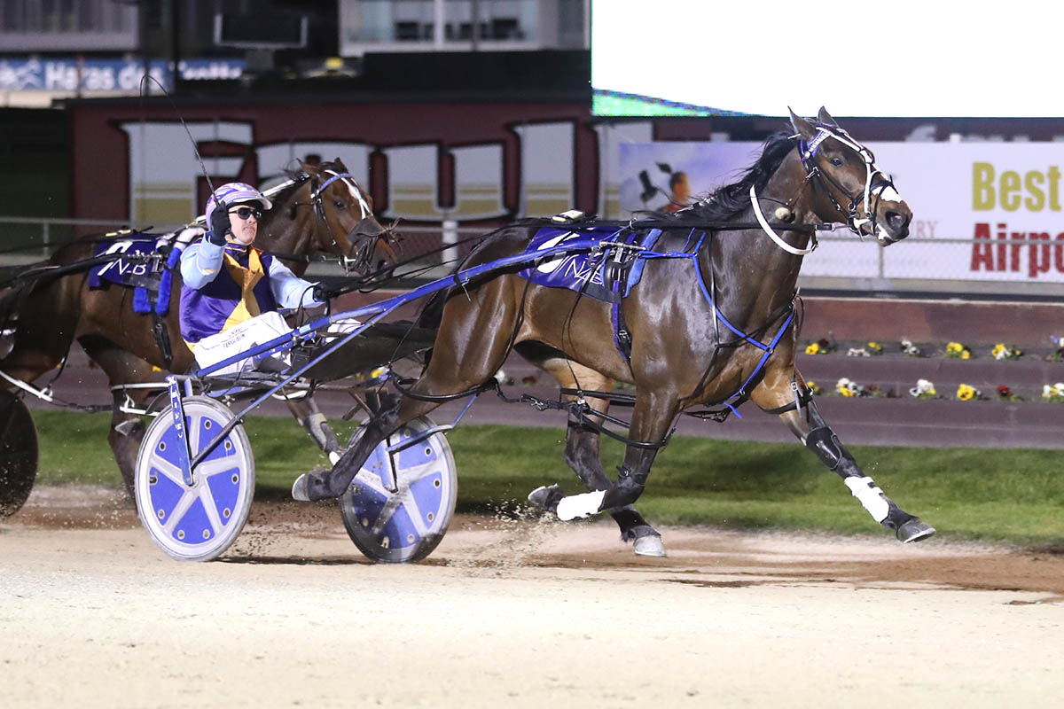 Craig Ferguson Lands Top Drives Ahead of Diamonds Day