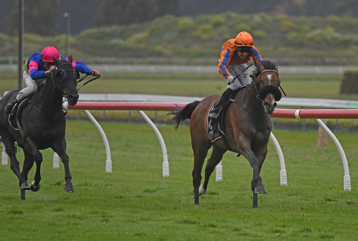 Aidan Rodley: How does the Riccarton form stack up