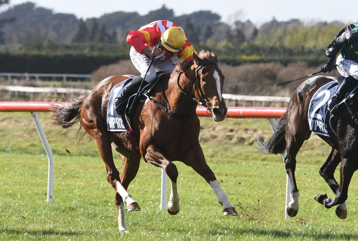 Royal Flower primed for Foxton Cup