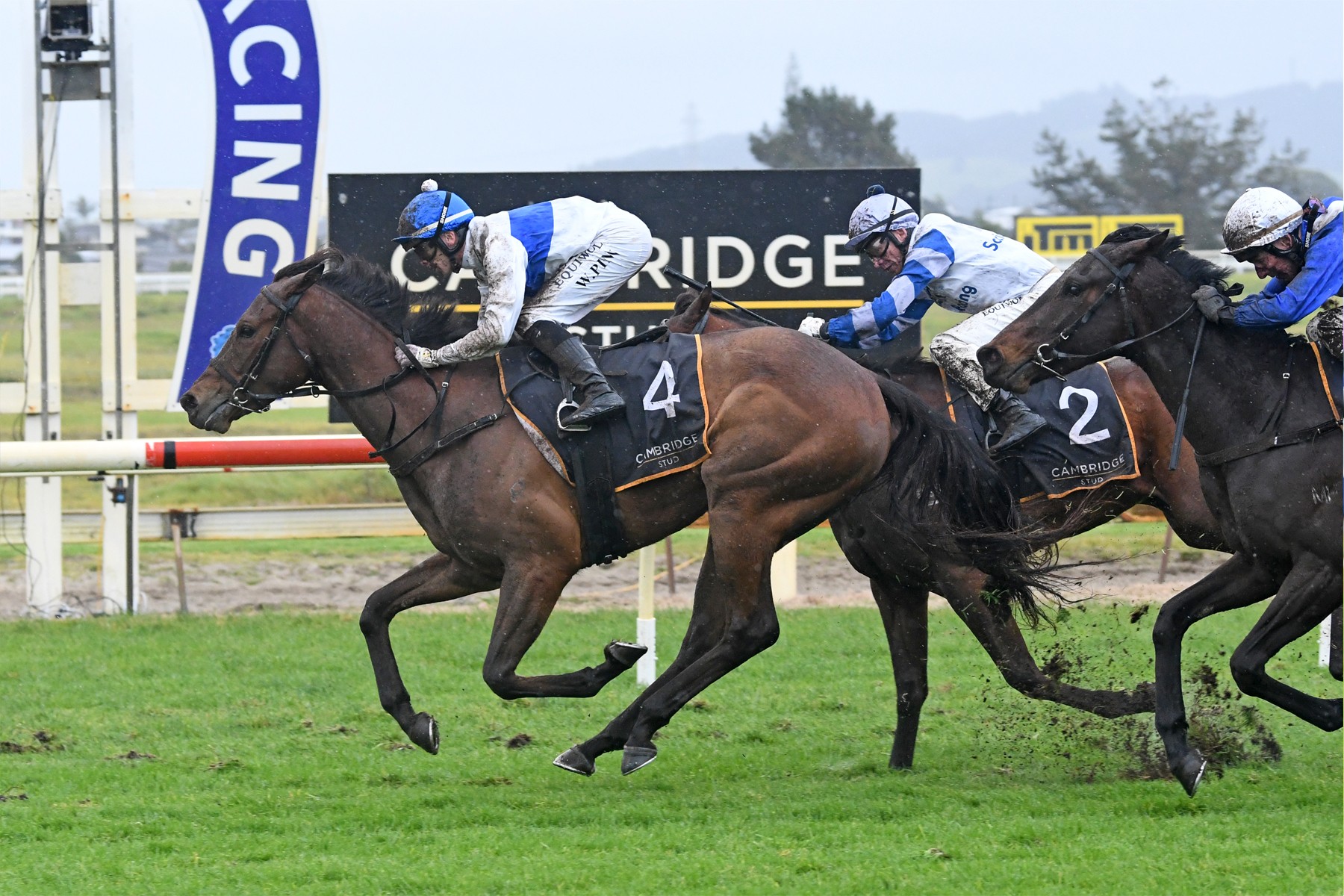 Tajana makes brilliant return in Breeders’ Stakes