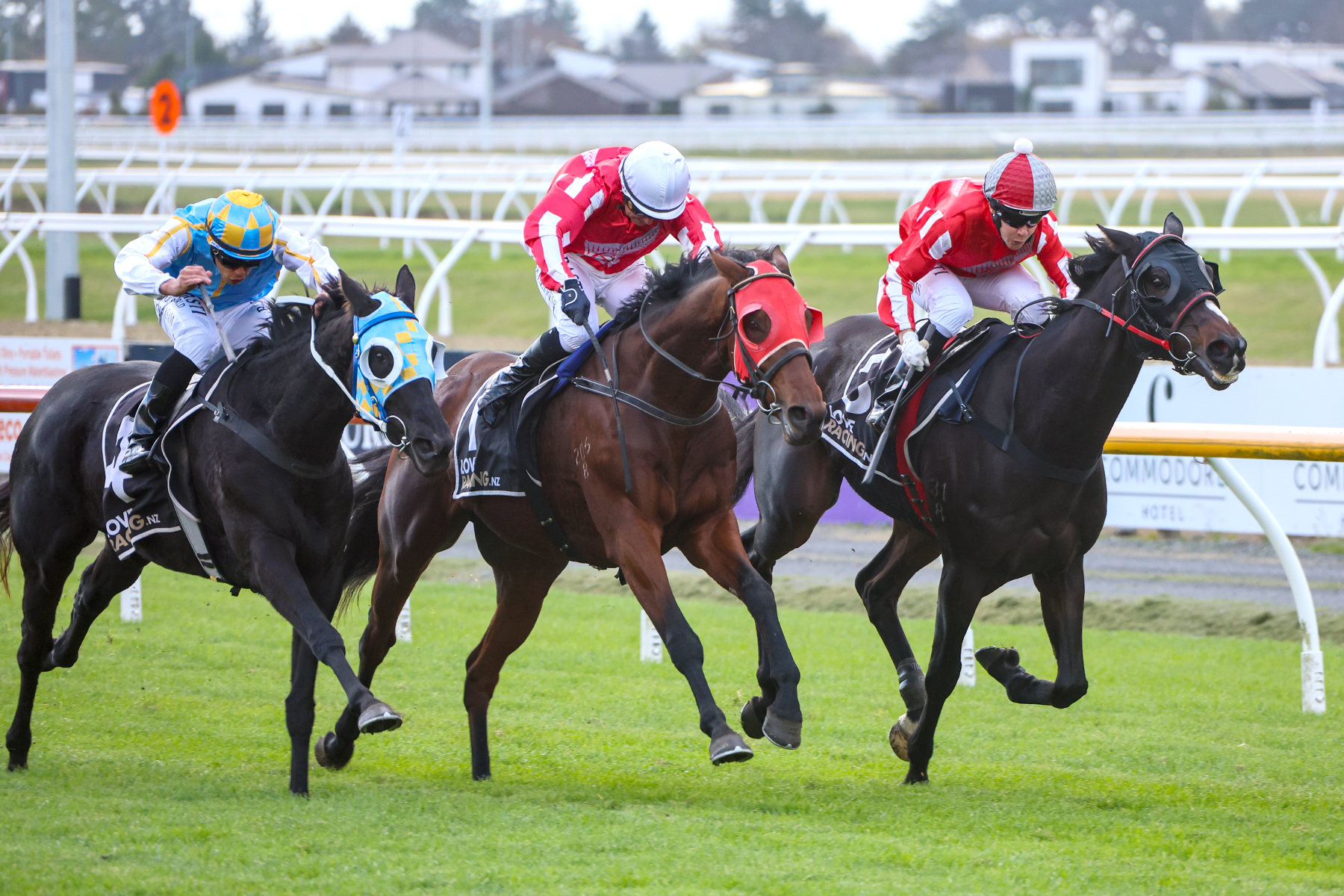 Pitman seeks natural irrigation at Wingatui