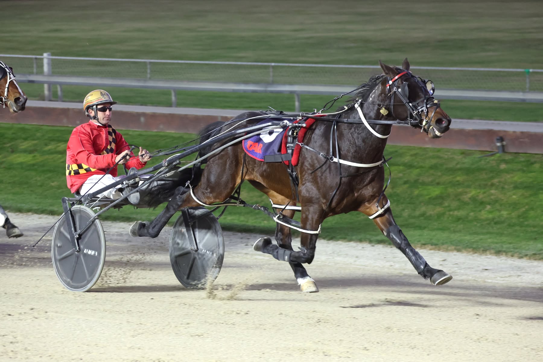 Life on the road proving a successful path for Williamson