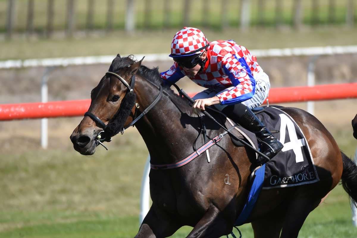 Ellerslie features in sight for Sweeney pair