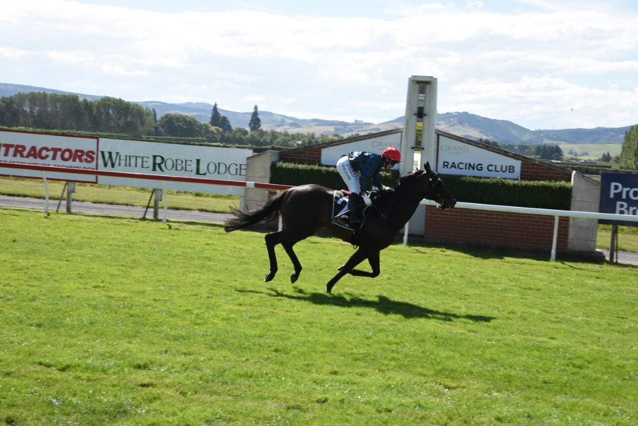 Northern visitor too strong in Hazlett Stakes