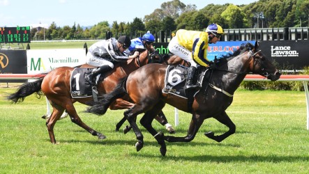 Wexford’s roll continues with Cheaha