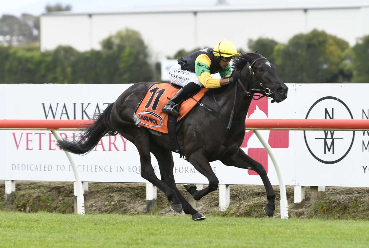 Australian black type Kitty Flash’s top priority