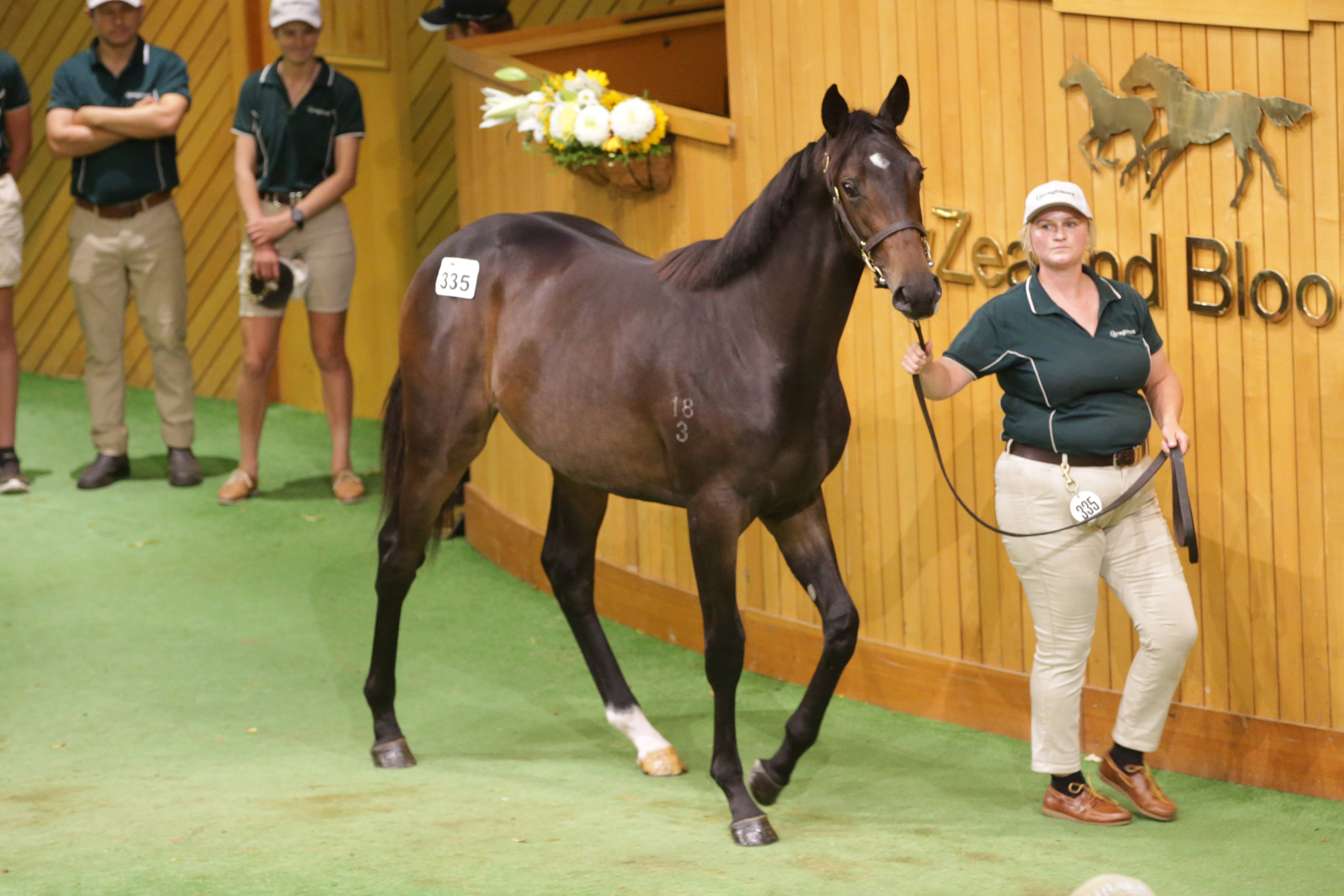 Sargent secures half-sister to class filly