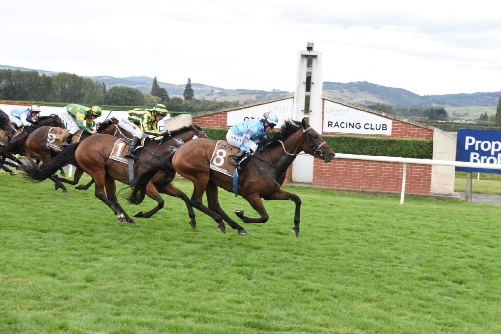 Maximus Augustus delivers career highlight for McNamara