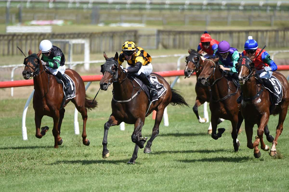 Blue-blooded Murdoch mares set for Te Rapa