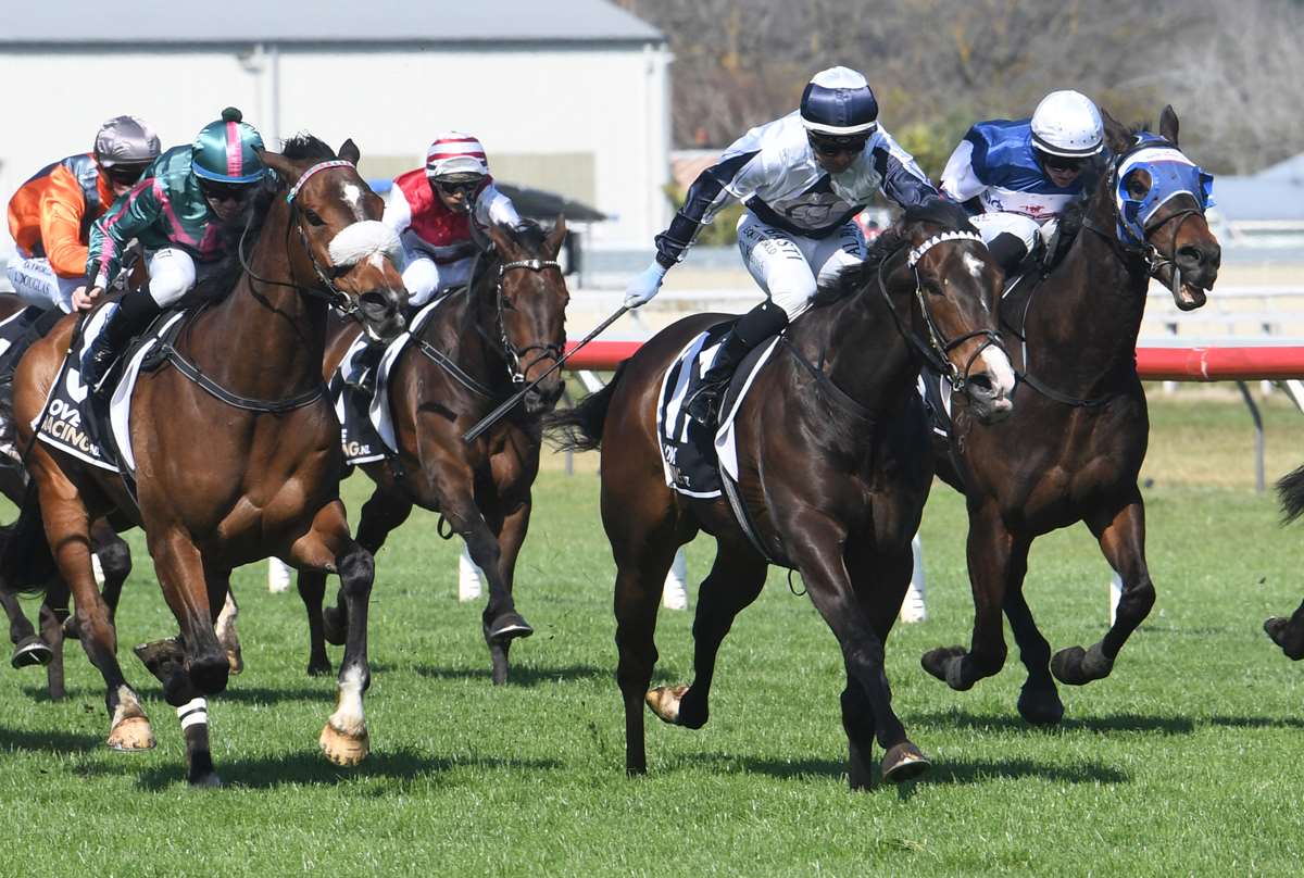 Stephen Hunt runs the numbers on Whanganui and Ellerslie