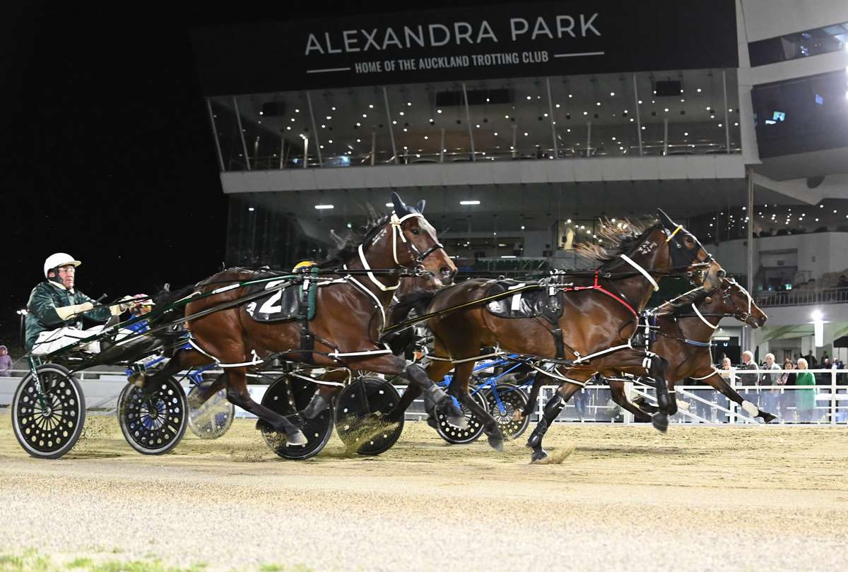 Aaron White: Big Night of Group 1 Racing at Alexandra Park