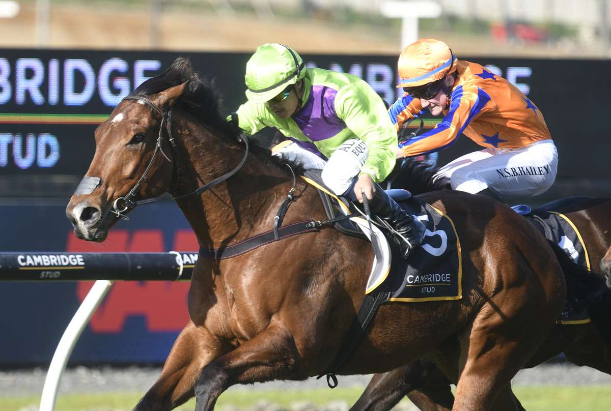 shamus heading back to ellerslie