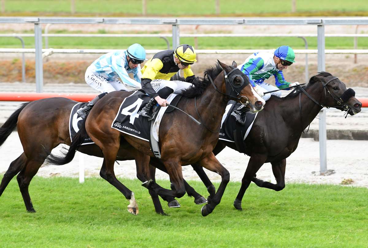 One Bold Cat aims for back-to-back Group One wins in Livamol