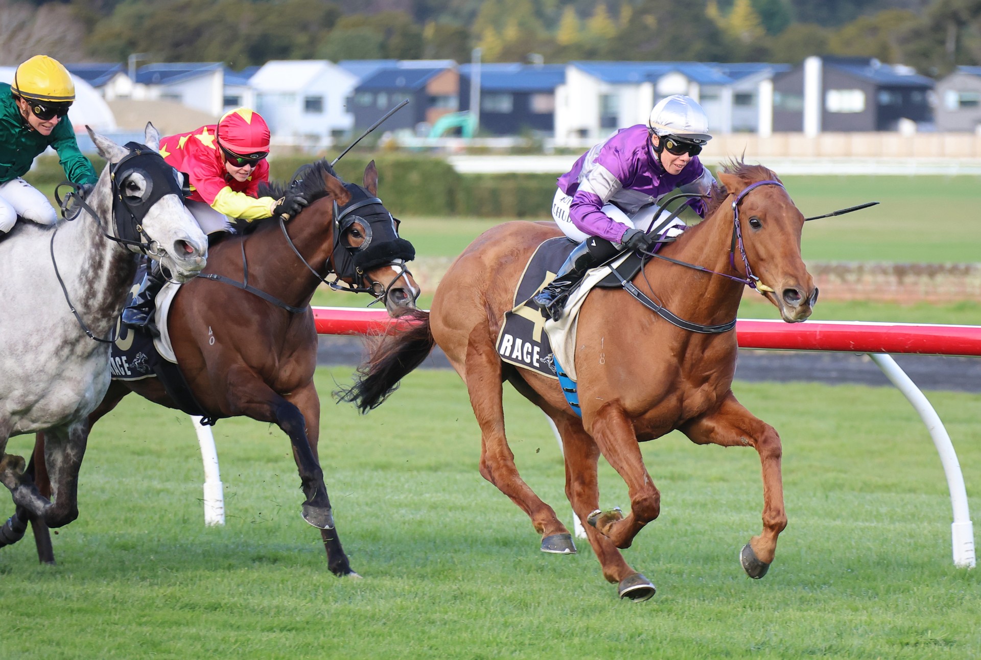 Ears Back claims another northern prize